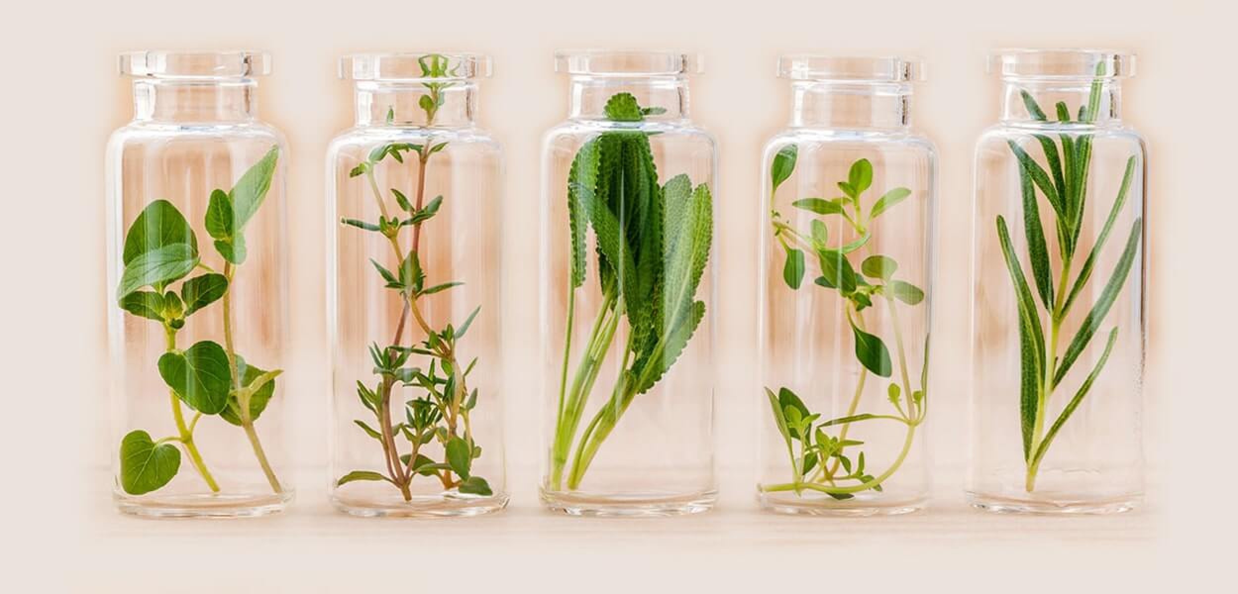 συμπληρώματα διατροφής-υπερτροφές, αιθέρια έλαια, βιολογικά προϊόντα ...